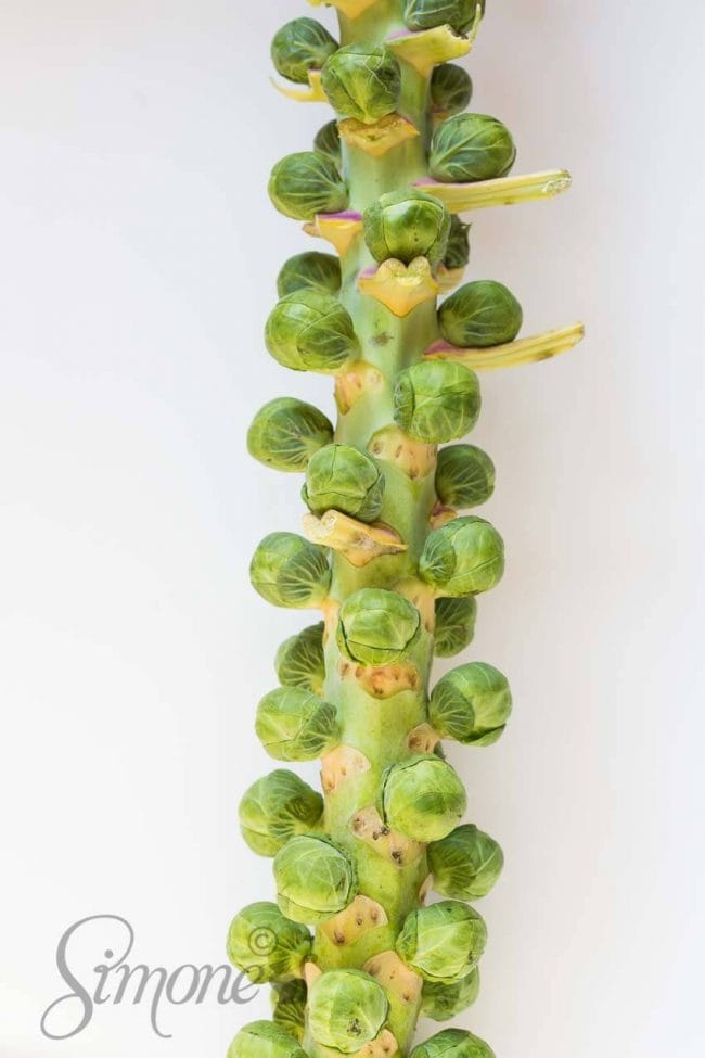 Op de snijplank... Spruitjes - Simone's Kitchen