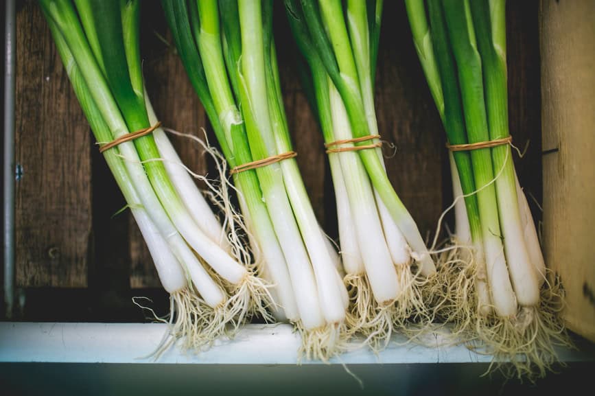 Wat is het verschil tussen lente-ui en bosui - Simone's Kitchen