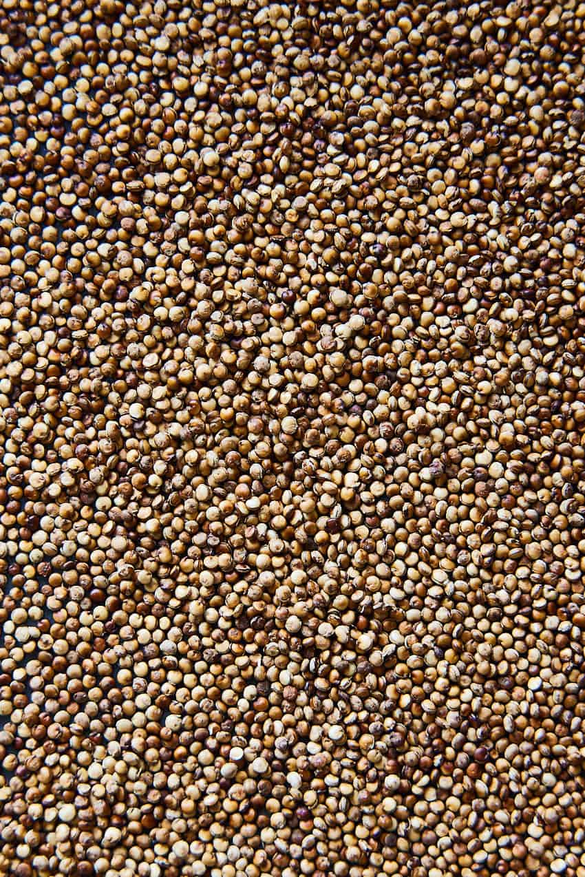 Makkelijke basis quinoa salade en variaties